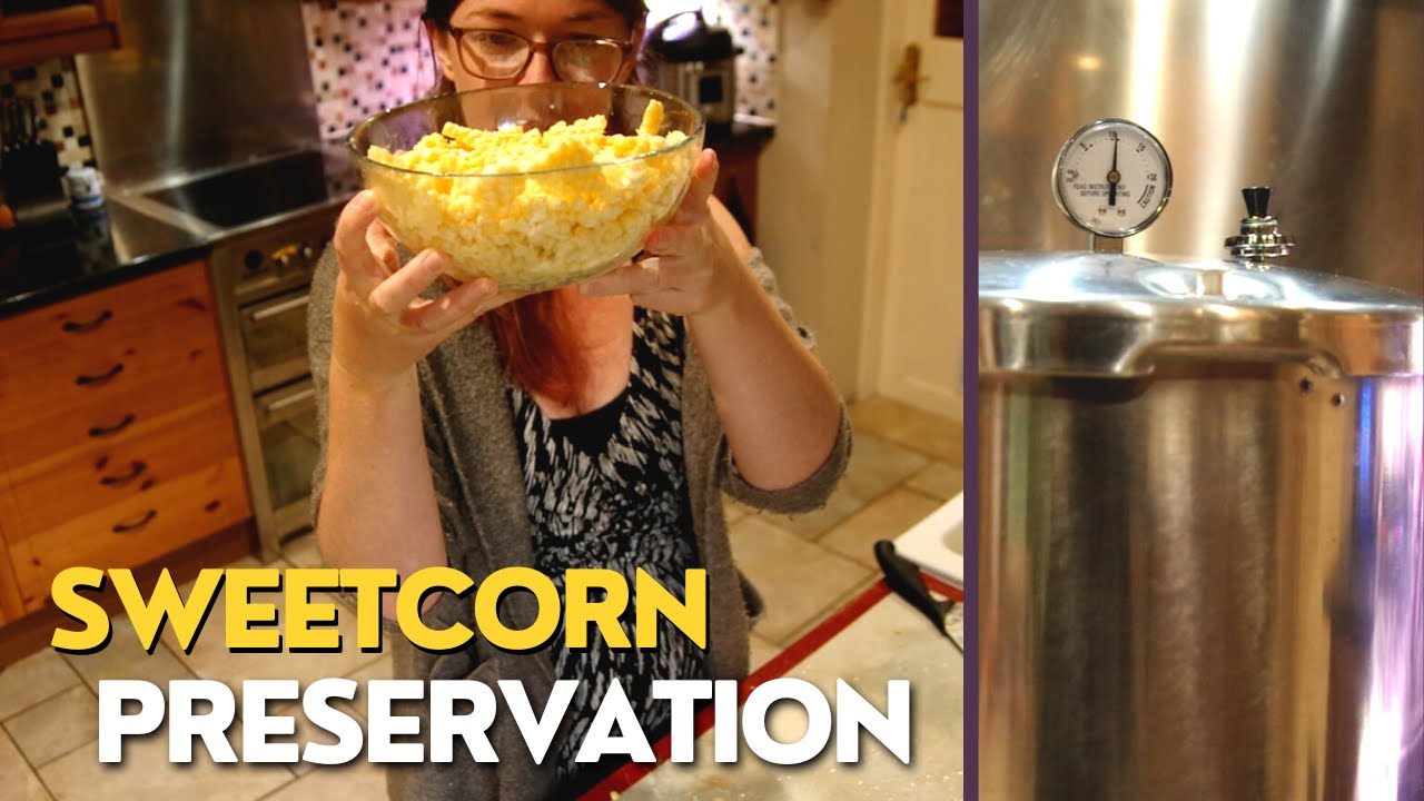 How to Preserve Sweetcorn Harvest - Canned Vs Frozen - YouTube