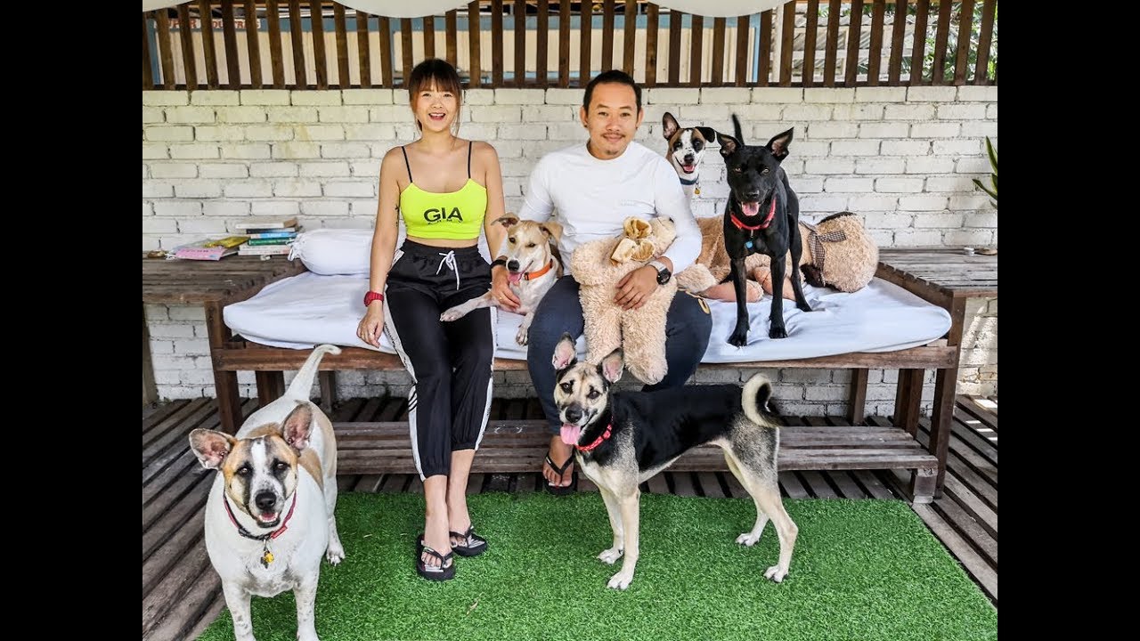 Cameron Tong's Factoria - A pets friendly getaway ft. Mier Yap - YouTube