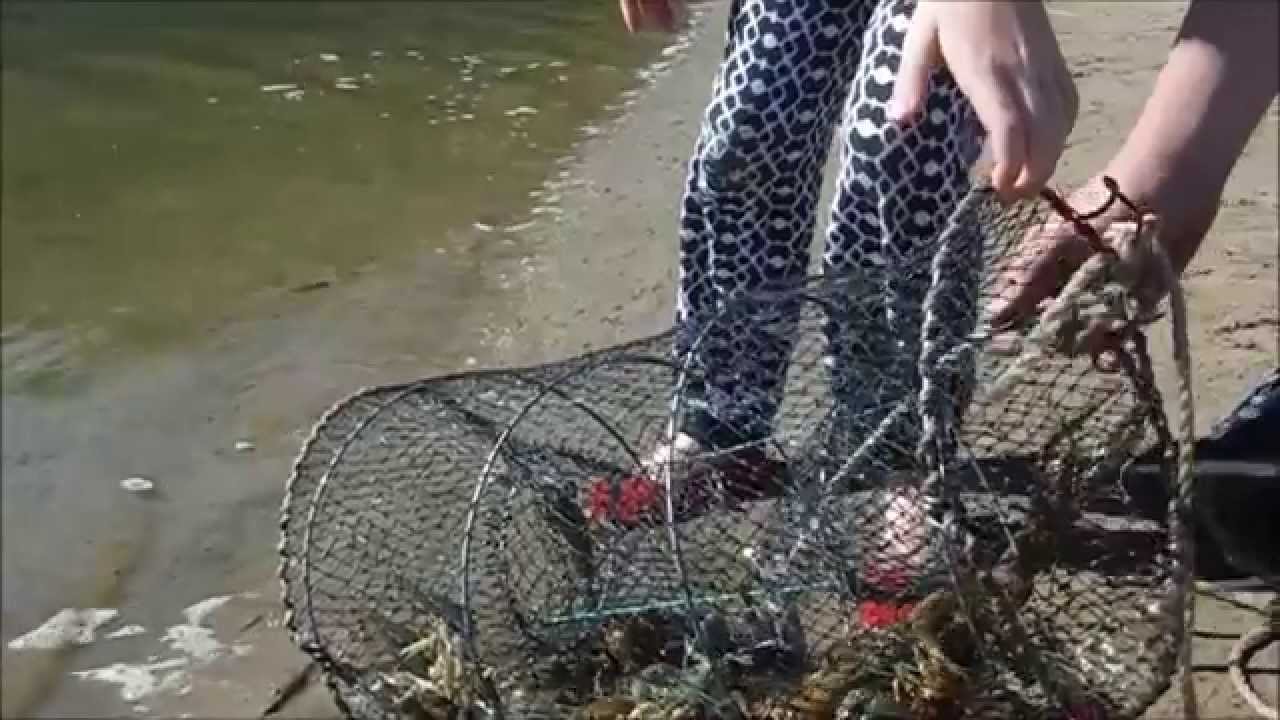 Idaho Crawdad Trappers - YouTube