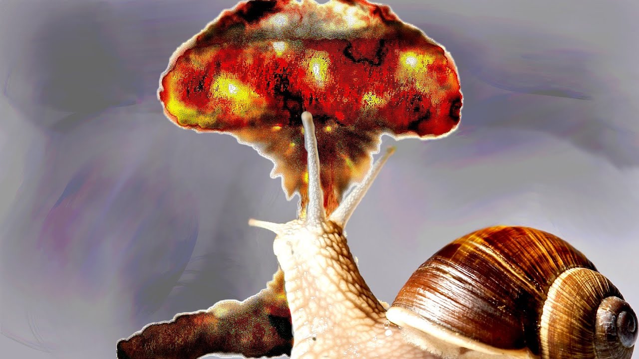 Armored Core 6 Snail Death Scream - YouTube