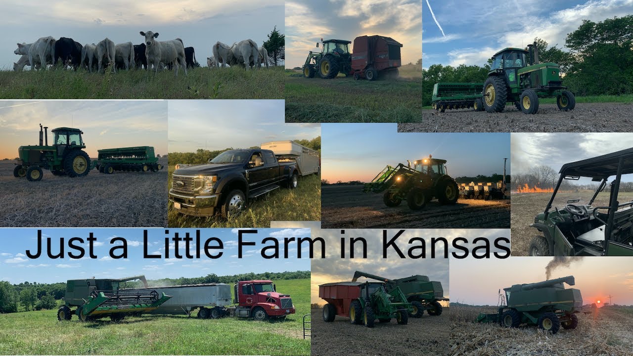 Country On- 2022 Farm Year Review - YouTube