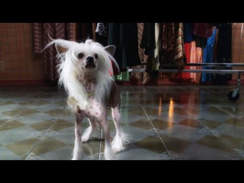 New York Minute (2004)(Black Chill, Jaz' Mina & Ebony Burks - Bring On The Bling)