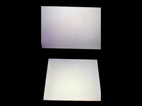 Sleepy sad and cute9 become friends