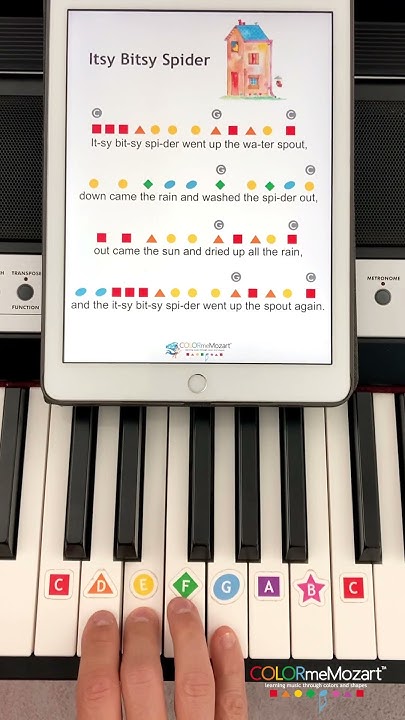 Itsy Bitsy Spider Easy Piano Notes 🎹🎶 - YouTube