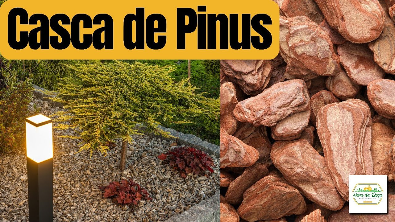 CASCA DE PINUS para vasos e jardins | Como e quando utilizar - YouTube