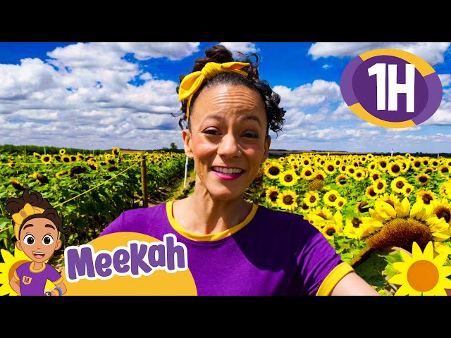 Welcome To My Farm! | Educational Videos for Kids | Blippi and Meekah ...