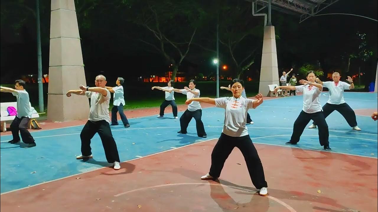 Chen Tai Chi Lao Jia Yi Lu class 陈氏太极老架一路74式 - YouTube