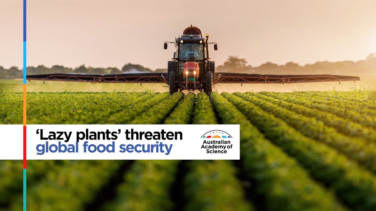 'Lazy plants' threaten global food security - YouTube