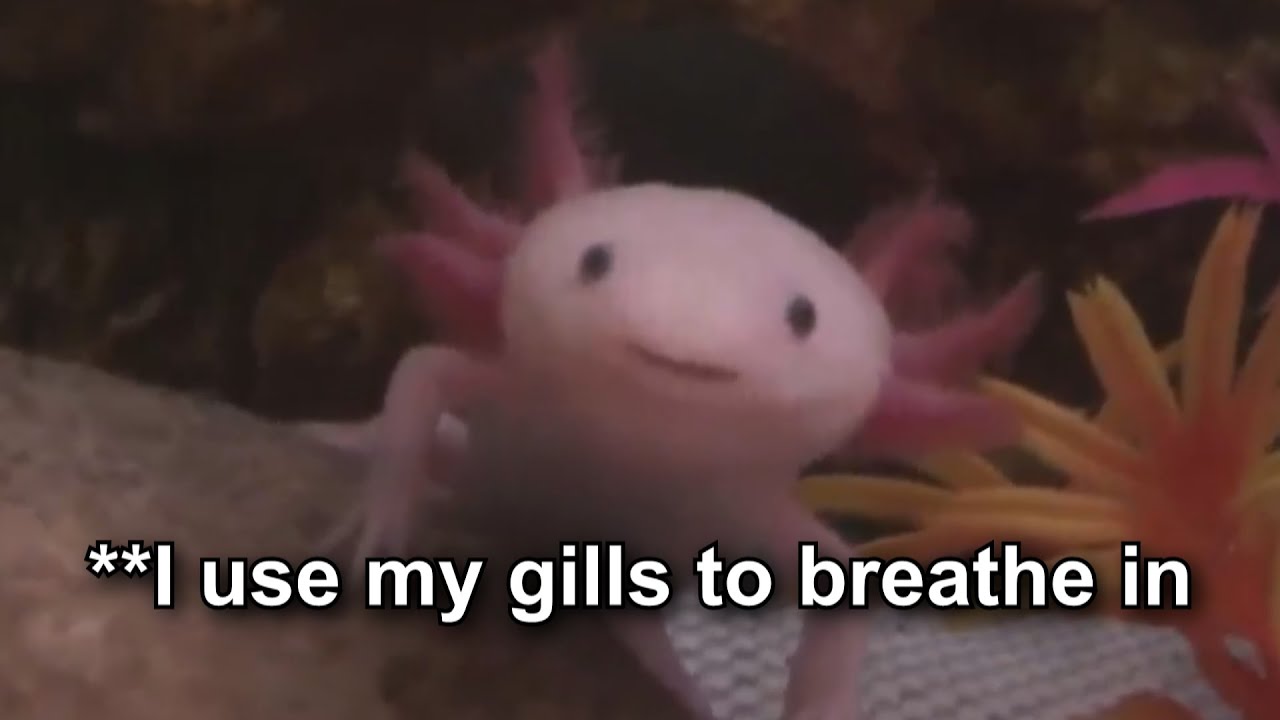 My Highest Note - YouTube