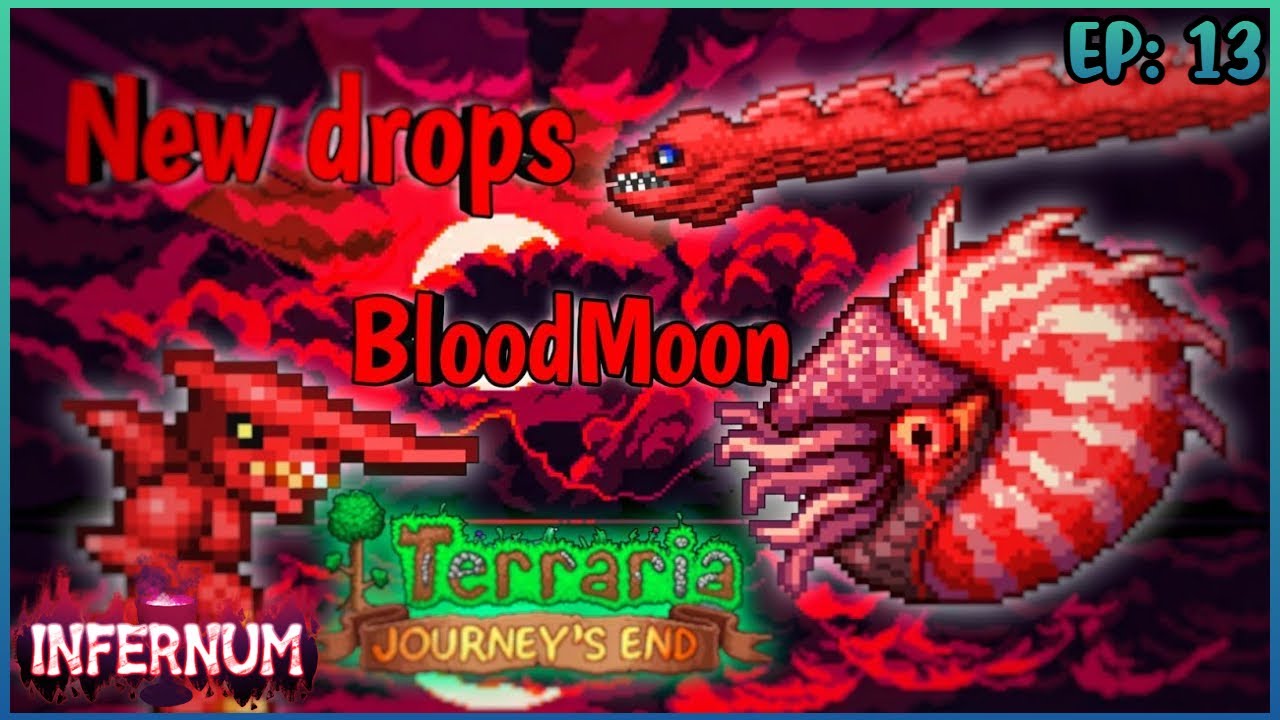 Terraria Calamity EP: 13 - Fishing for a new pet (WTF IS THAT!) - YouTube