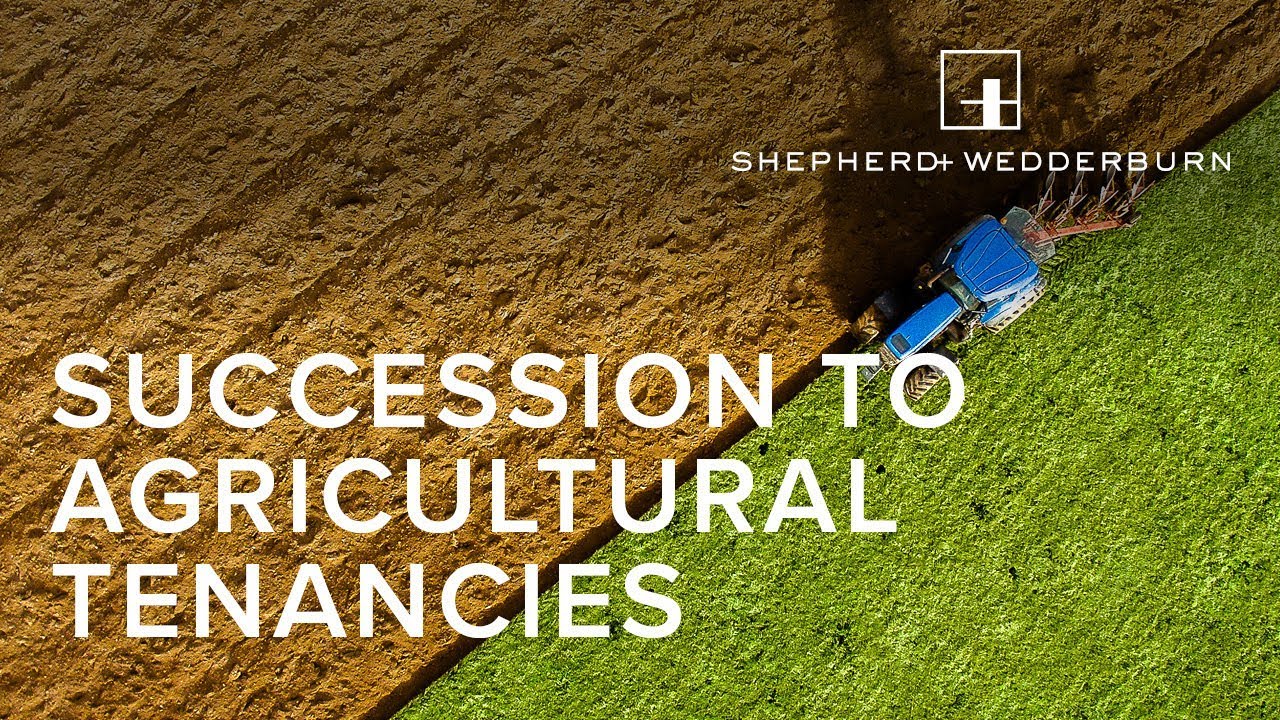 Succession to agricultural tenancies – how to object and how to defend ...