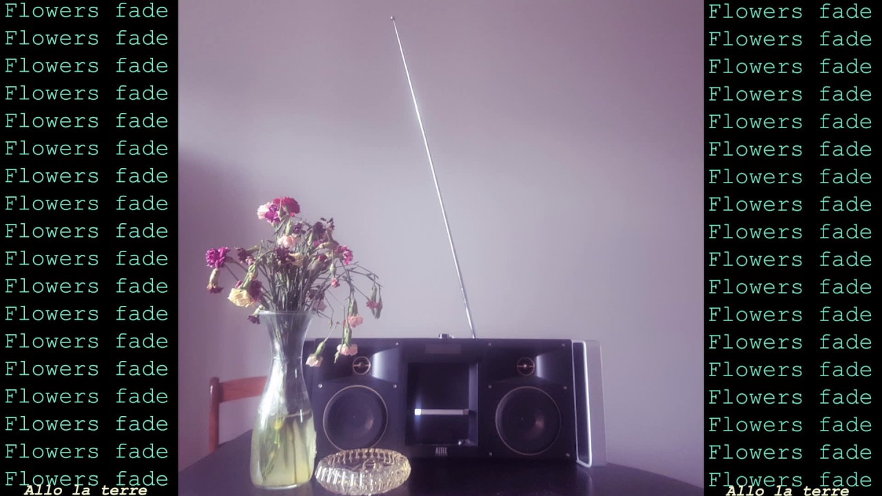 ALLO LA TERRE - Flowers Fade (Cridens) - YouTube