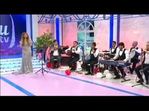 Ana laylasi