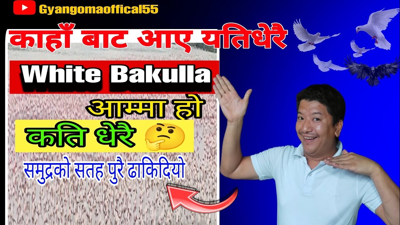 White Bakulla sea #viral #newvideo #wildlife #viralvideo ...