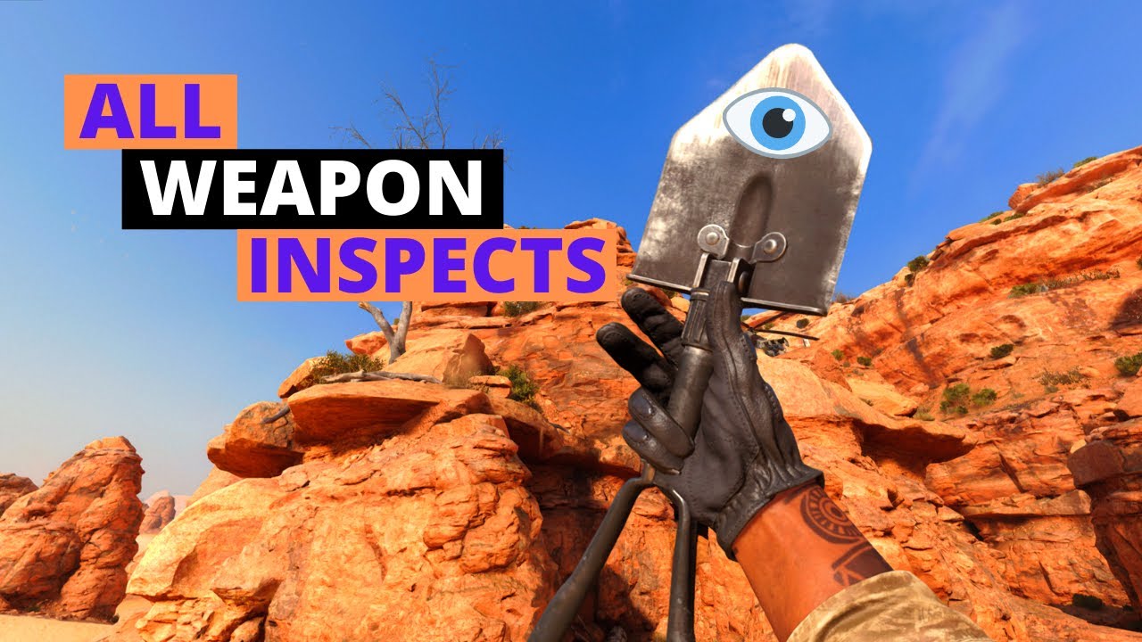 CALL OF DUTY COLD WAR: All weapon inspections! - YouTube