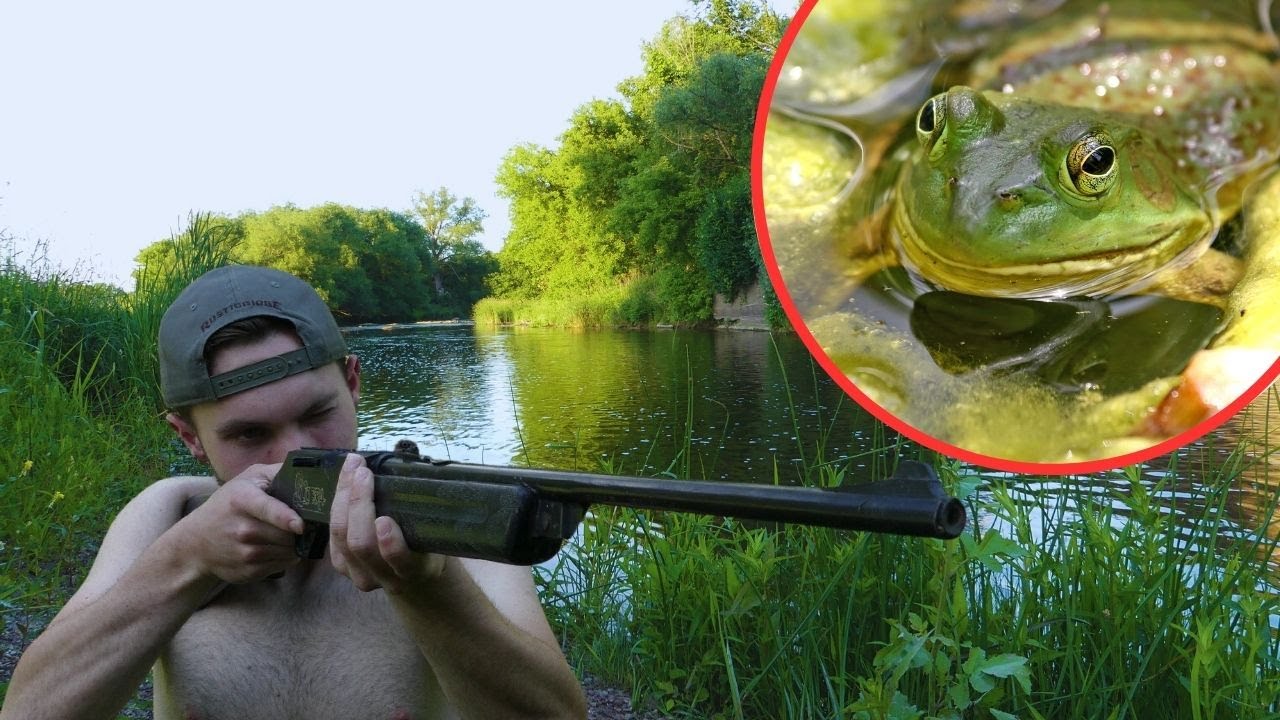 Hunting Monster Bullfrogs with BB Gun (There Were Trophy's) - YouTube
