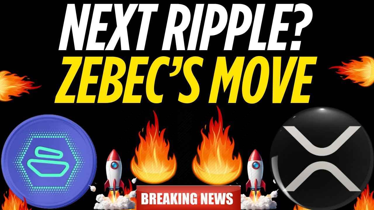 Why Zebec Will Survive the Next Bull Run (While Others Die) -news - YouTube