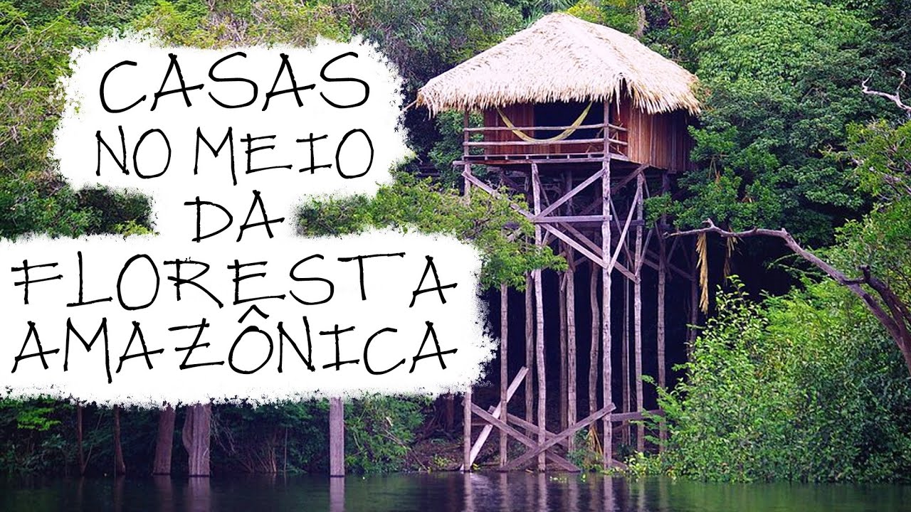CASAS INCRÍVEIS NA FLORESTA AMAZÔNICA - YouTube