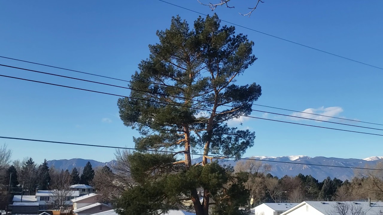 Colorado Springs Weather Report YouTube colorado-springs-weather-report-youtube