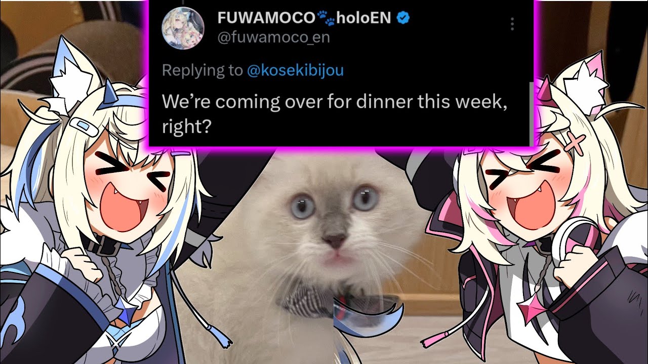 Everyone's reaction to Biboo's John cat - YouTube