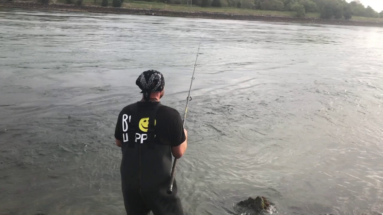 Hookin' up at the Fish Funnel - YouTube