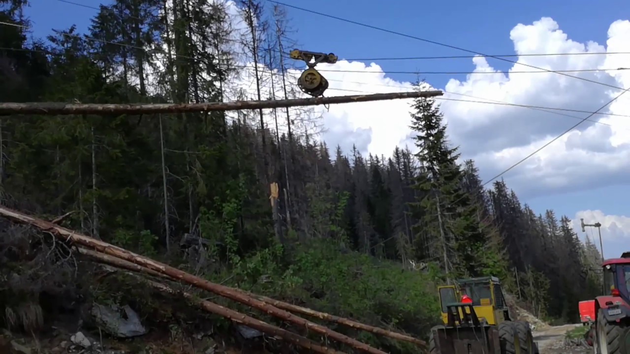 Logging and Forest-Cable Car to Approach in the Woods🌲🌲🌲Tažba dreva ...