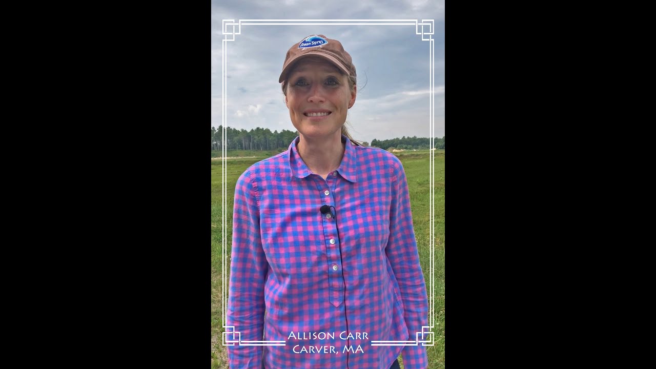 Celebrating the MA Cranberry Grower: Alison Carr - YouTube