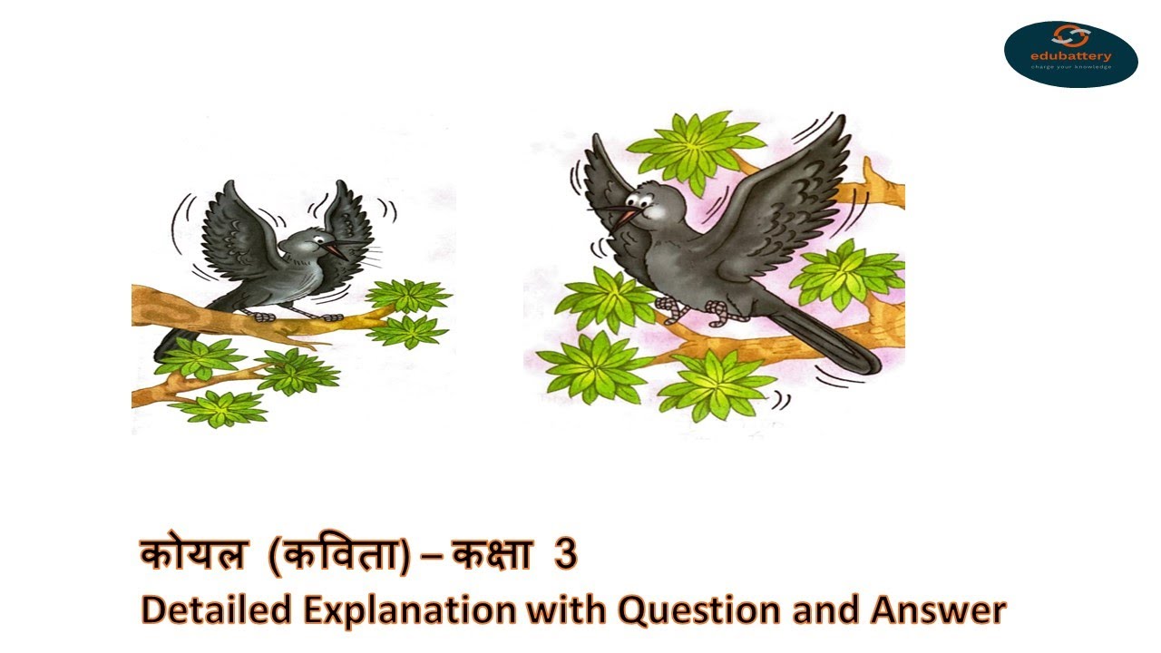 Koyal Poem Class 3 Koyal Poem 13 Class 3 With Question Answer koyal-poem-class-3-koyal-poem-13-class-3-with-question-answer