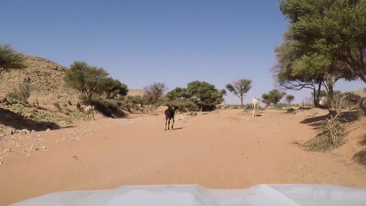 Crossing Wadi Juraydhi from East to West - Highlights - YouTube