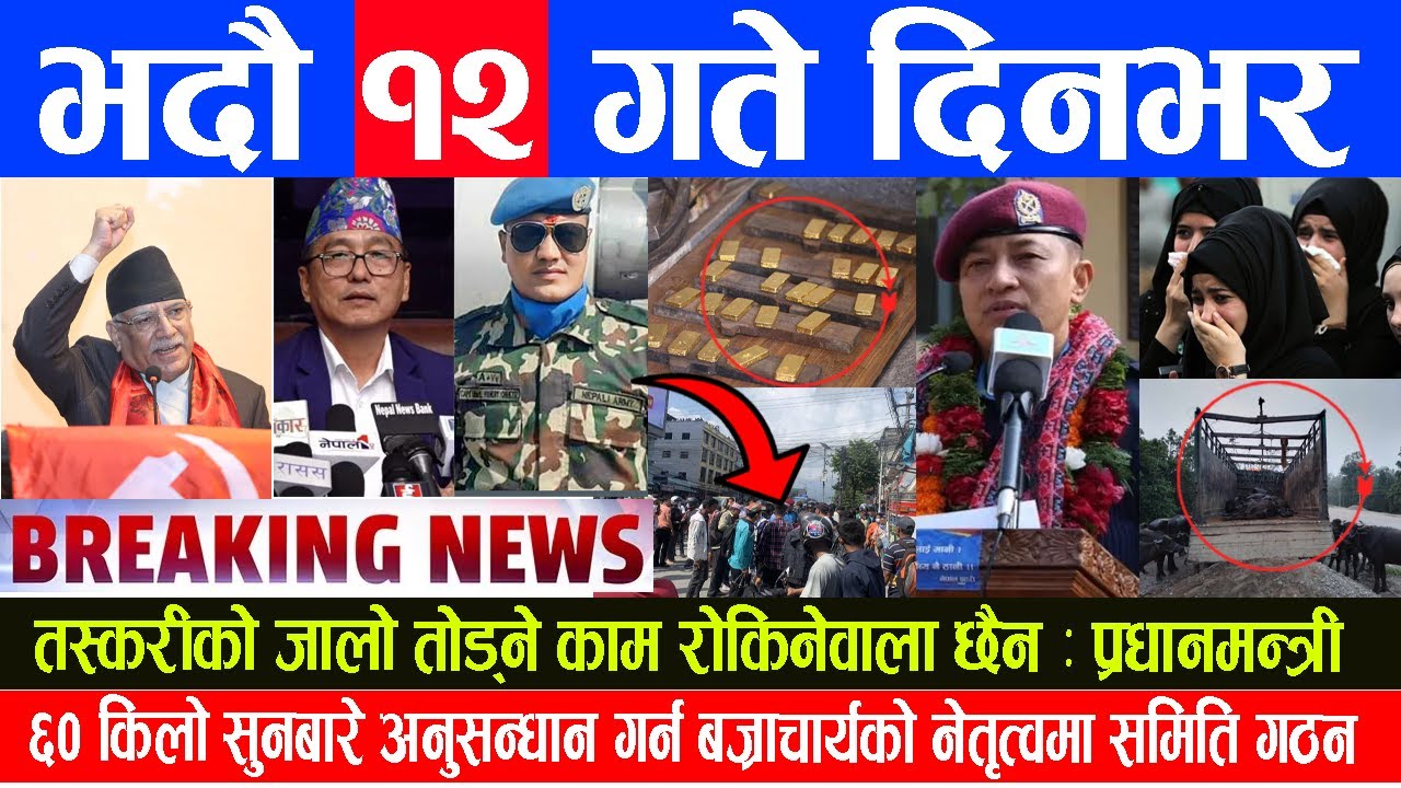 🔴 Breaking News || आज भदौ १२ गते दिनभर || Nepali News | Nepal post ...