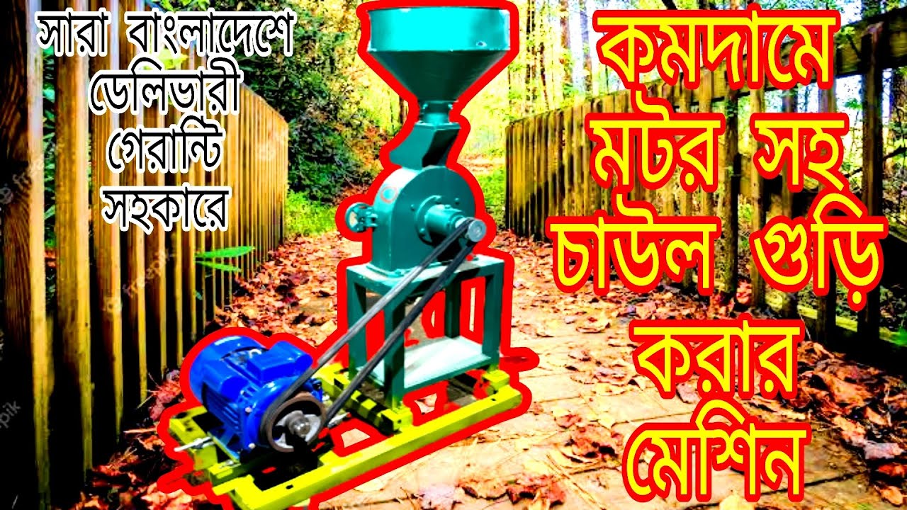 Rice powder machine||caul guri korar machine.ভিজা চাউল গুড়া করার মেশিন ...