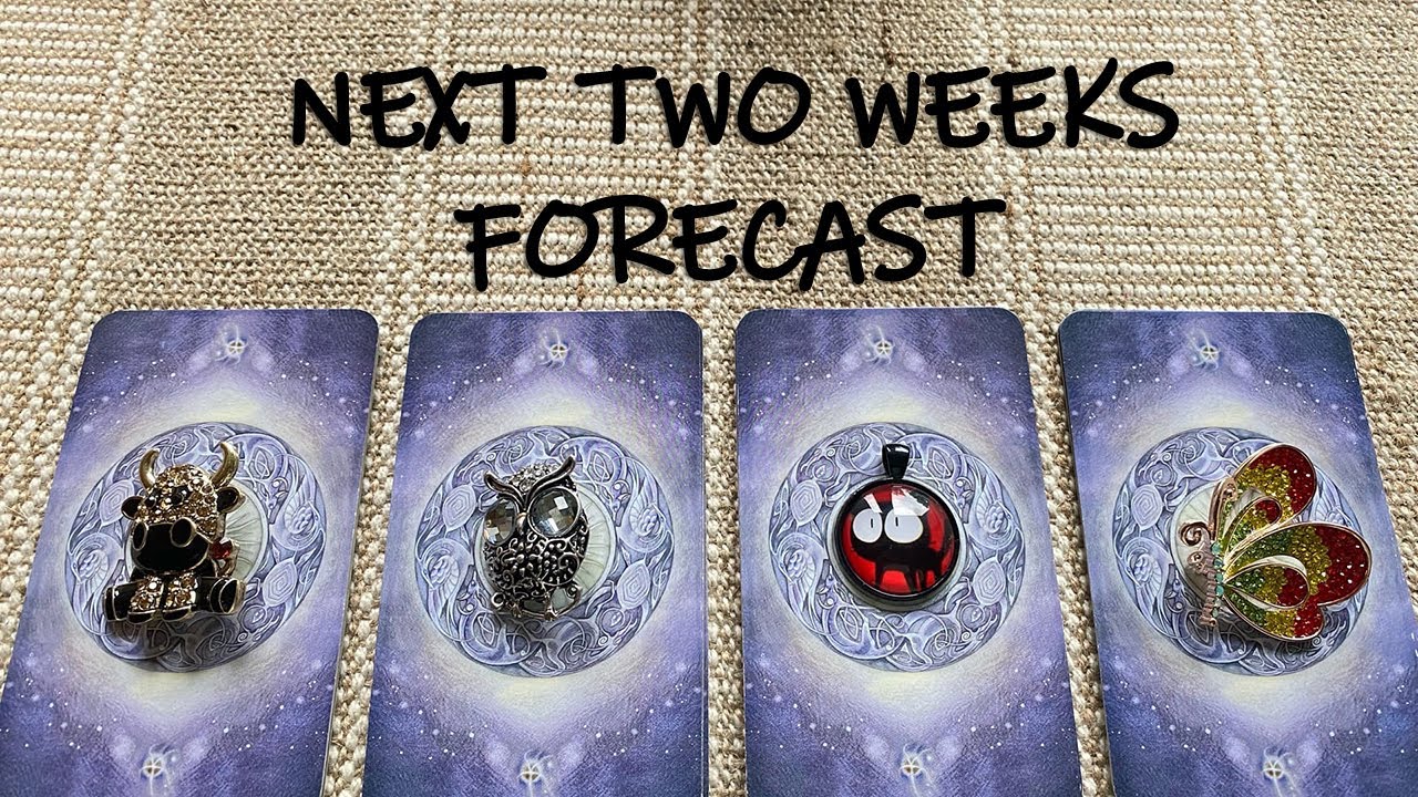 NEXT TWO WEEKS FORECAST. PICK A CARDS - YouTube