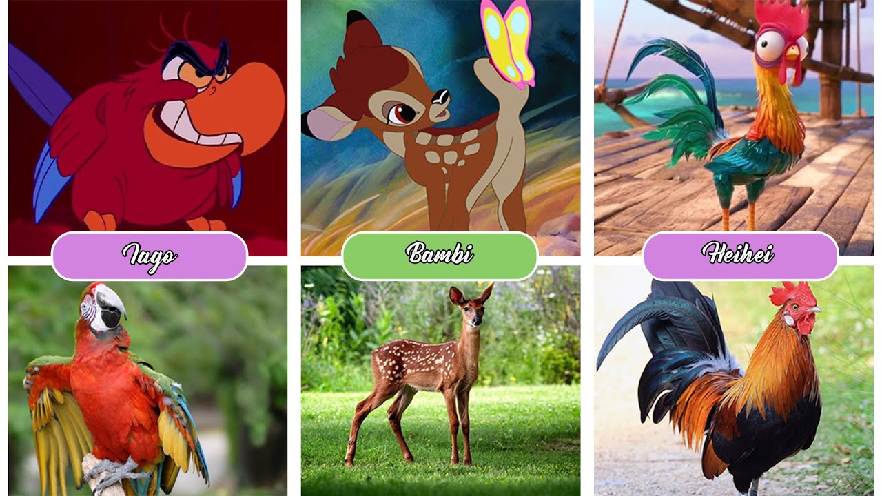 Comparison : Disney Characters as Real Animals - YouTube