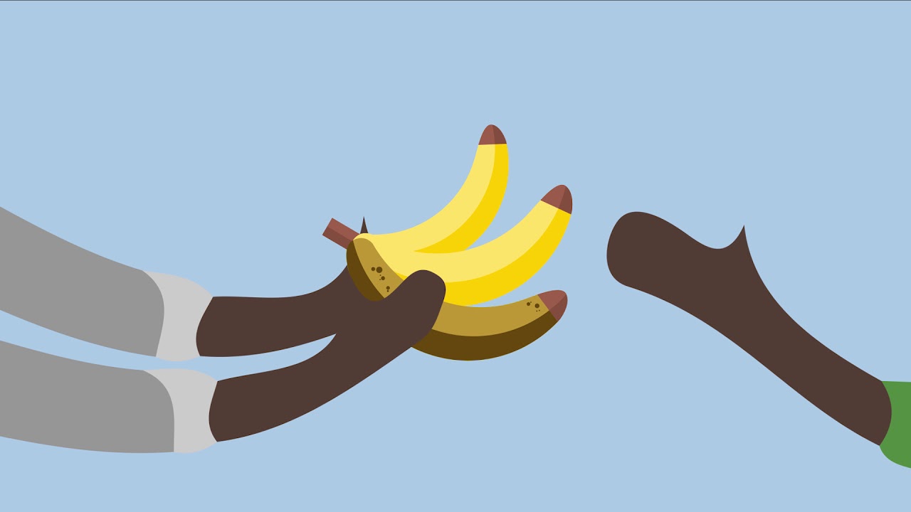 BANANA ARMOUR - RCA Grand Challenge 2019 - YouTube
