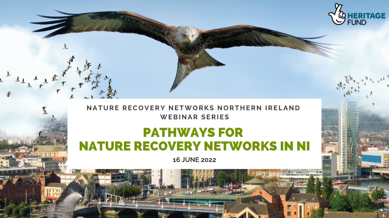 Pathways for Nature Recovery Networks in NI - YouTube