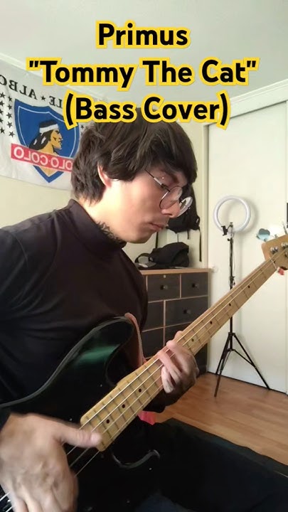 Primus - Tommy The Cat (Bass Cover) #basscover #bassist #newmusic - YouTube