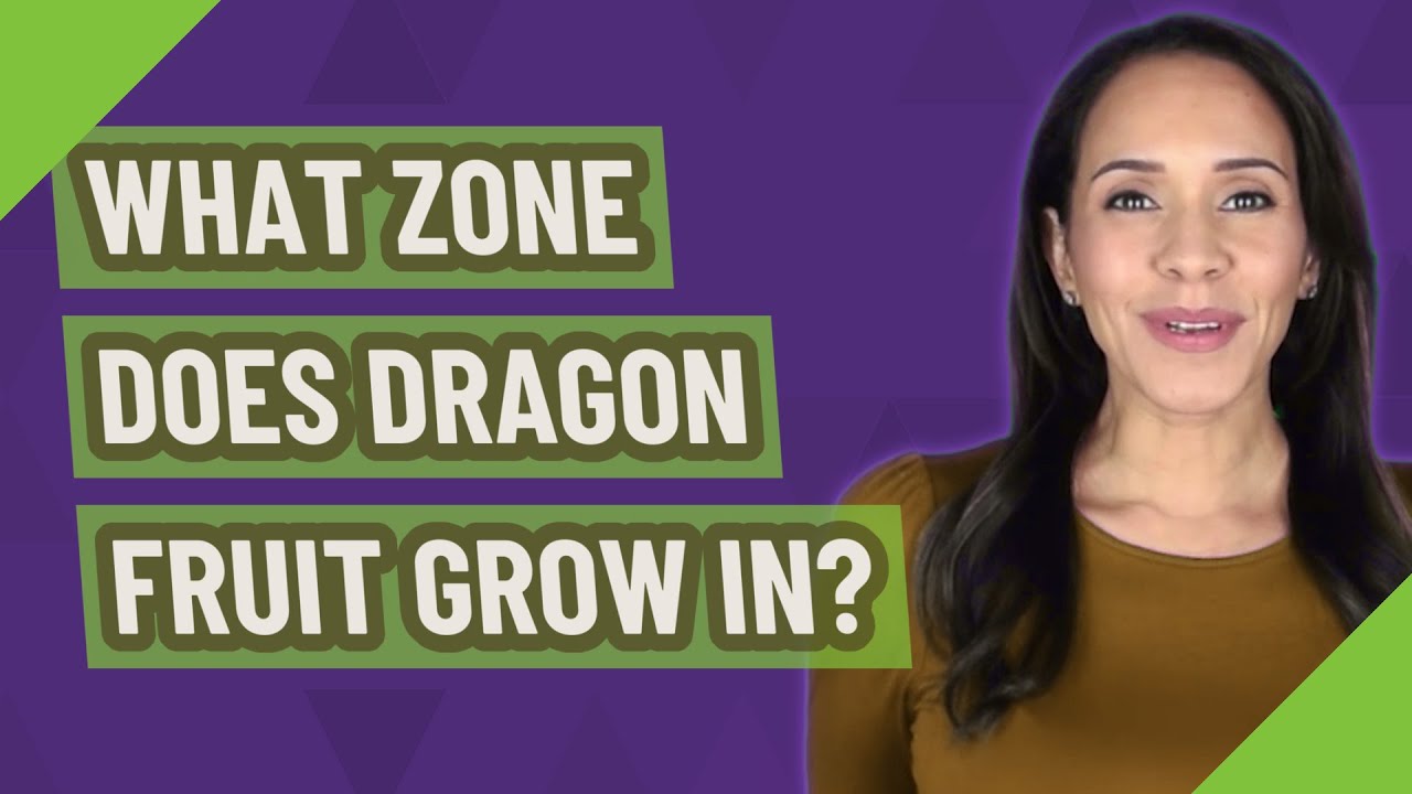 What zone does dragon fruit grow in? - YouTube