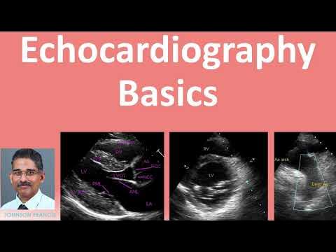 Basics of Echocardiography - YouTube