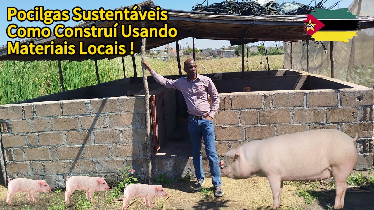 Pocilgas Sustentáveis: Como Construí Usando Materiais Locais e ...