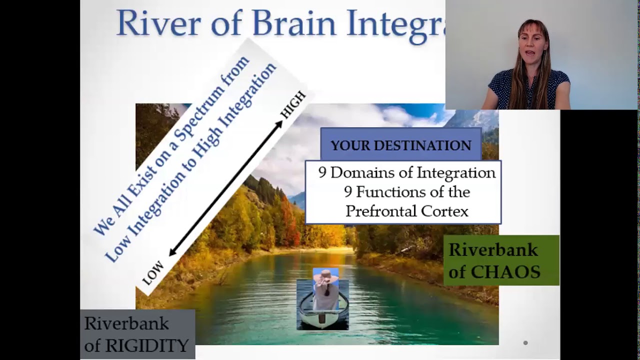 Window of Tolerance River of Integration An Alternative Model that ...