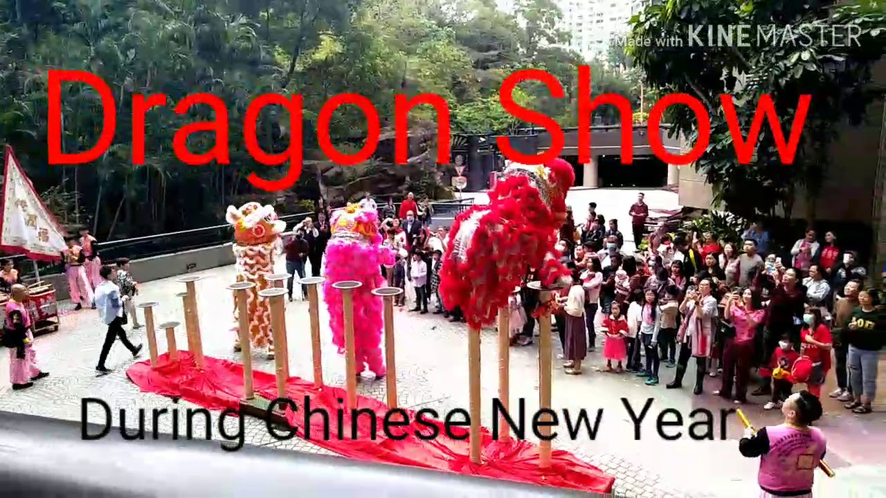 During Chinese New Year || Dragon 🐉 Show || Nice View at Central, Hong ...