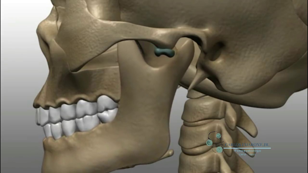 Disfunção Temporomandibular (DTM) - YouTube