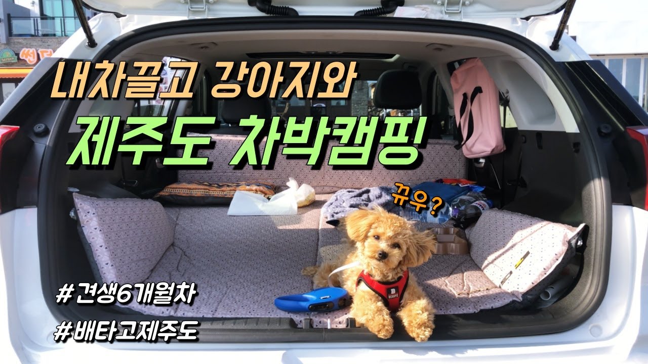 서울에서 제주까지 금요일 퇴근박 제주도 노지 차박캠핑 제주도 함덕 니로 차박 차박하기 좋은차 차박캠핑