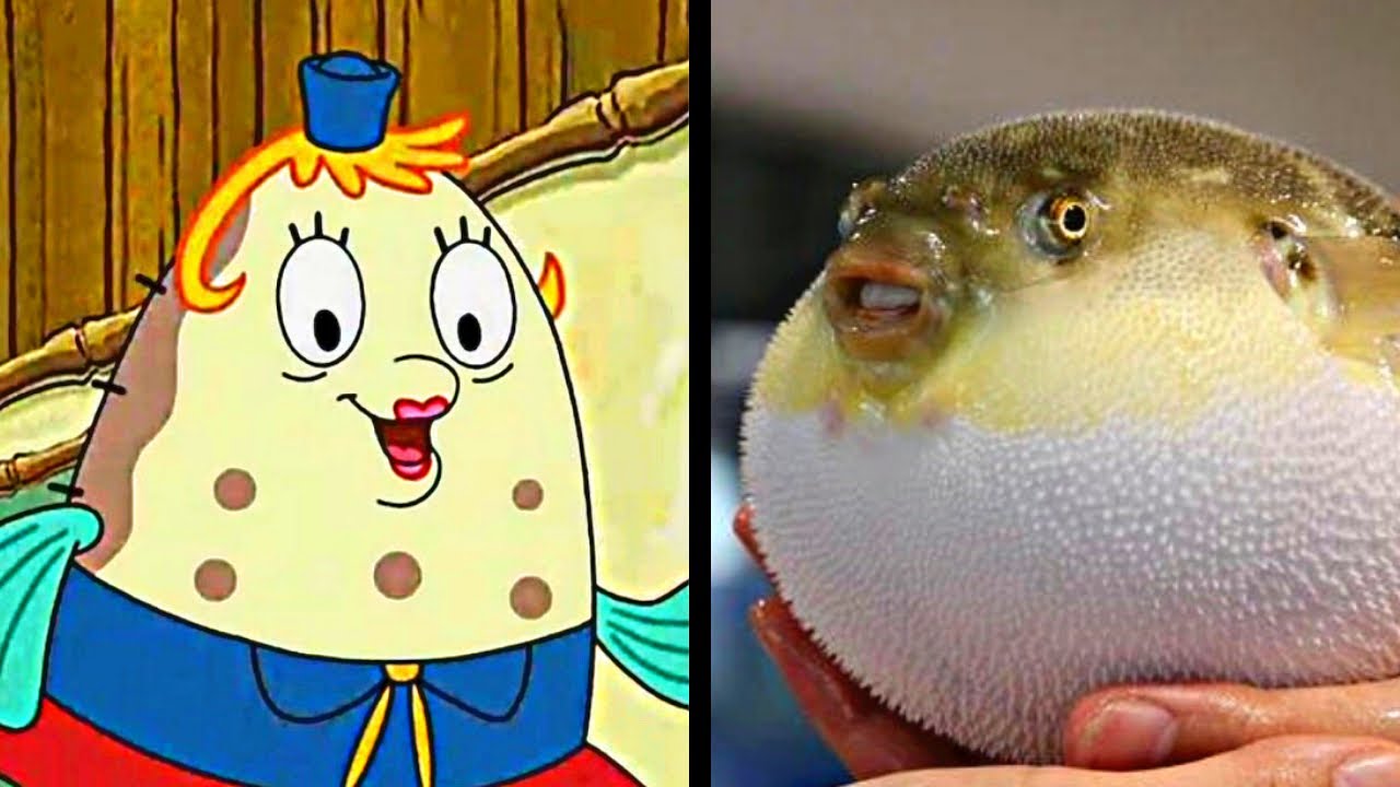 SpongeBob in Real life - Main Characters! Part 162 - YouTube