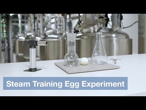 Steam Training | Egg Experiment - YouTube