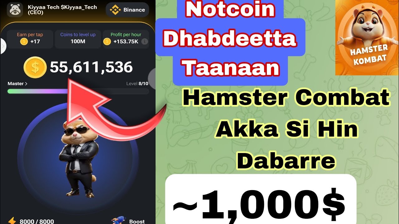 Akkaataa Hamster combat Itti hojjettan |How to use Hamster combat? - YouTube