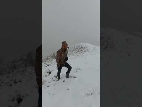 Keklik avından bir kesit