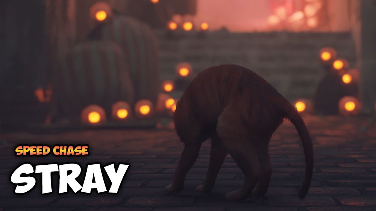 STRAY - First Chase by ZURKS - YouTube