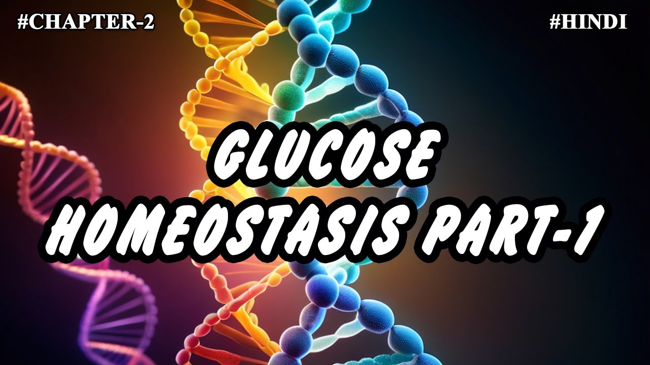 Chapter -2 || Metabolism Of Carbohydrates (Part-14) || Glucose ...