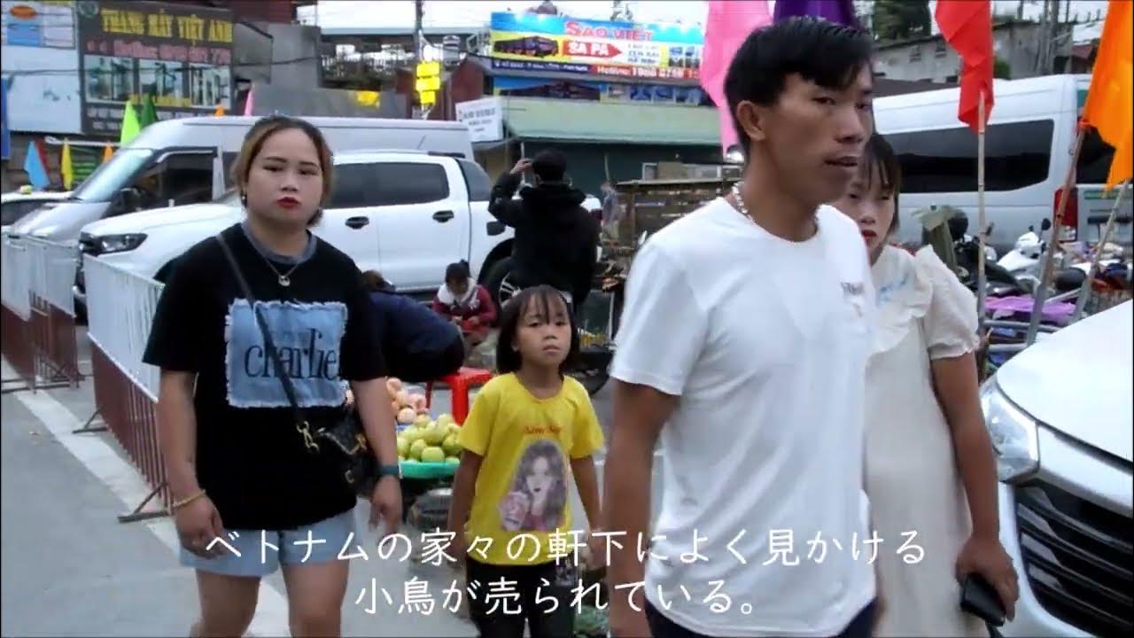ベトナム最高峰ファンシーパン(3143m)登頂núi Phan Xi Păngとサパ深夜バスの旅(ラオカイ省とライチャウ省) Youtube